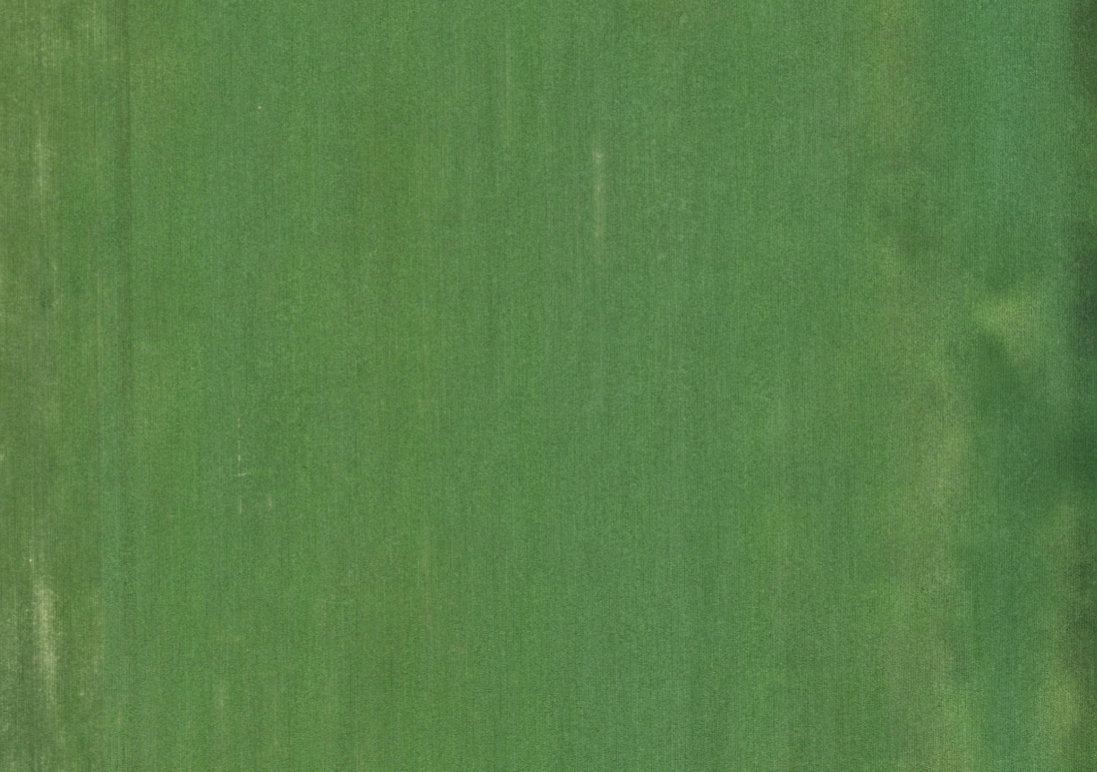 Drone Maps – AgriVision, LLC